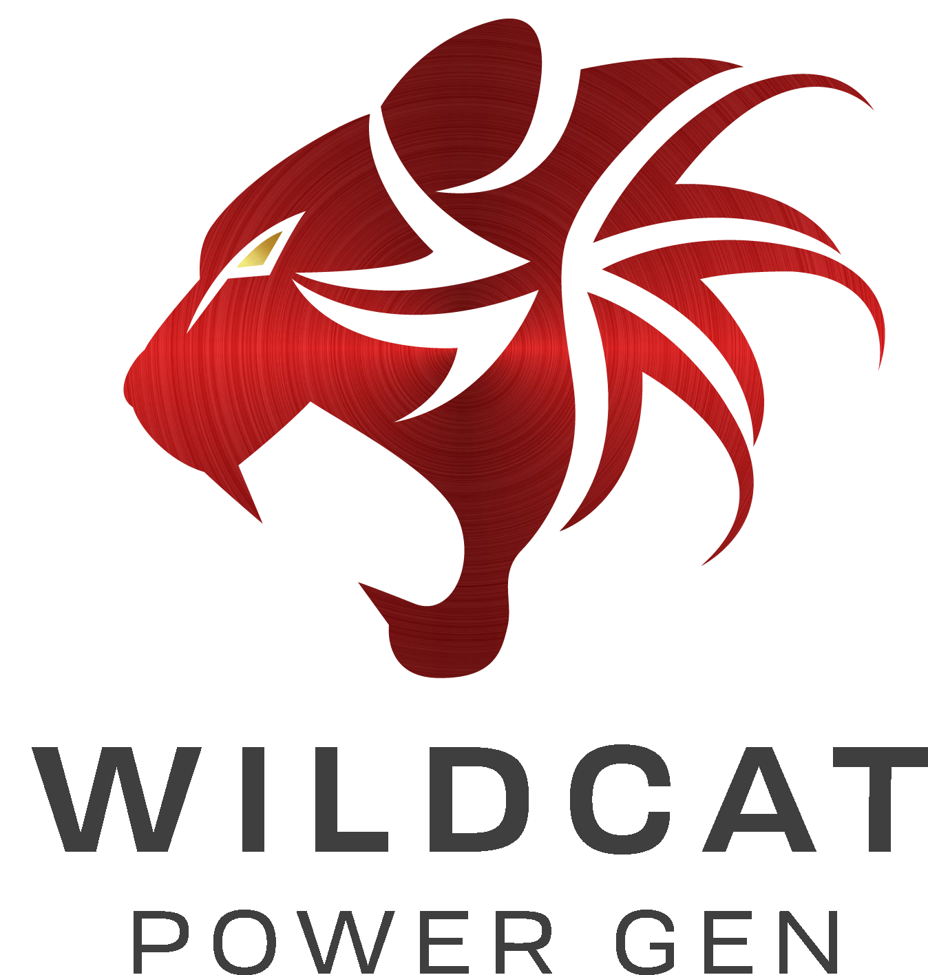 WILDCAT POWER GEN – PowerGen USA